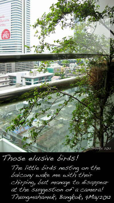 Wet, Wet, Wet! Annascaul to Dingle ~ Walking The Dingle Way (Day 4) Ireland » Ursula's Weekly ...