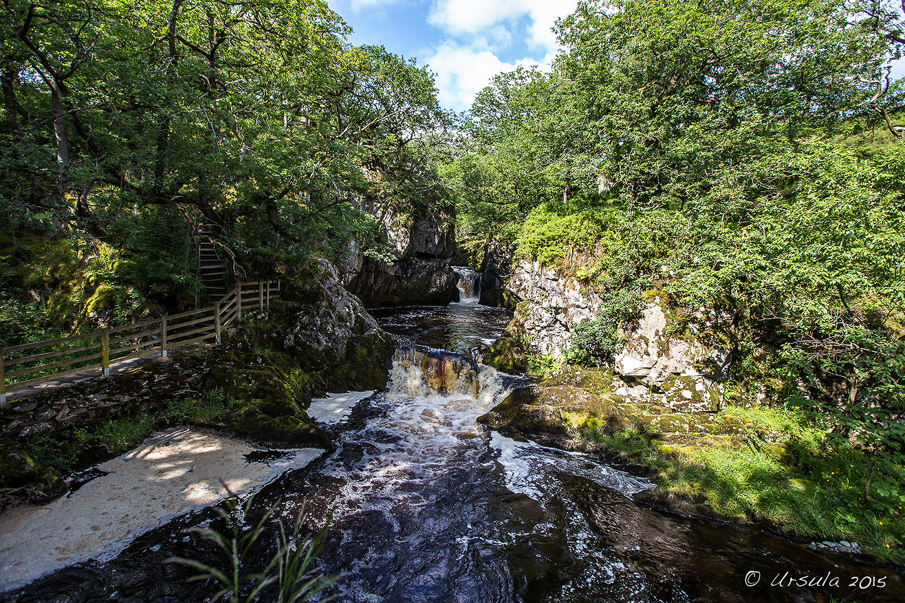 A Walk in the Yorkshire Dales: Ingleton Waterfalls Trail » Ursula's ...