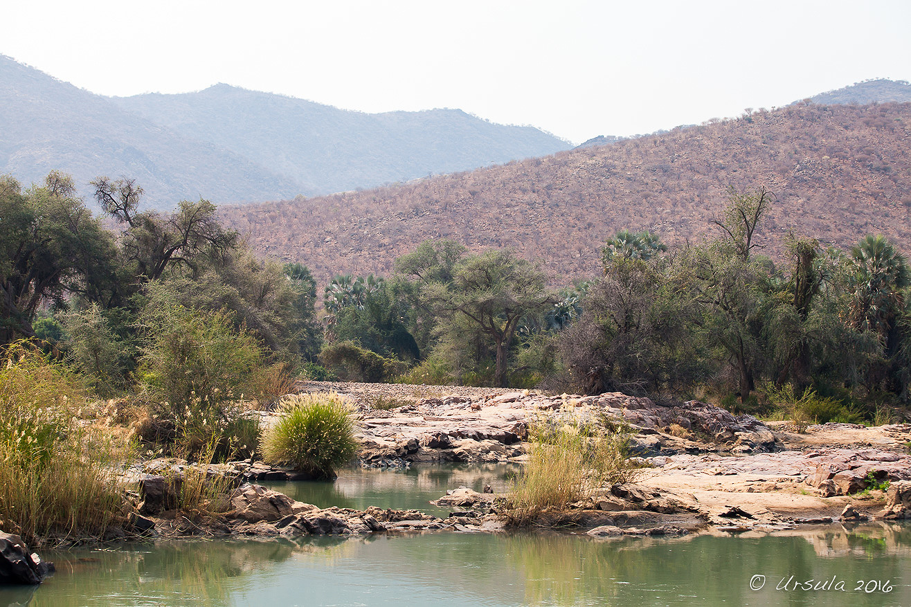 In Search of Crocodiles: The Kunene River, Namibia » Ursula's Weekly ...