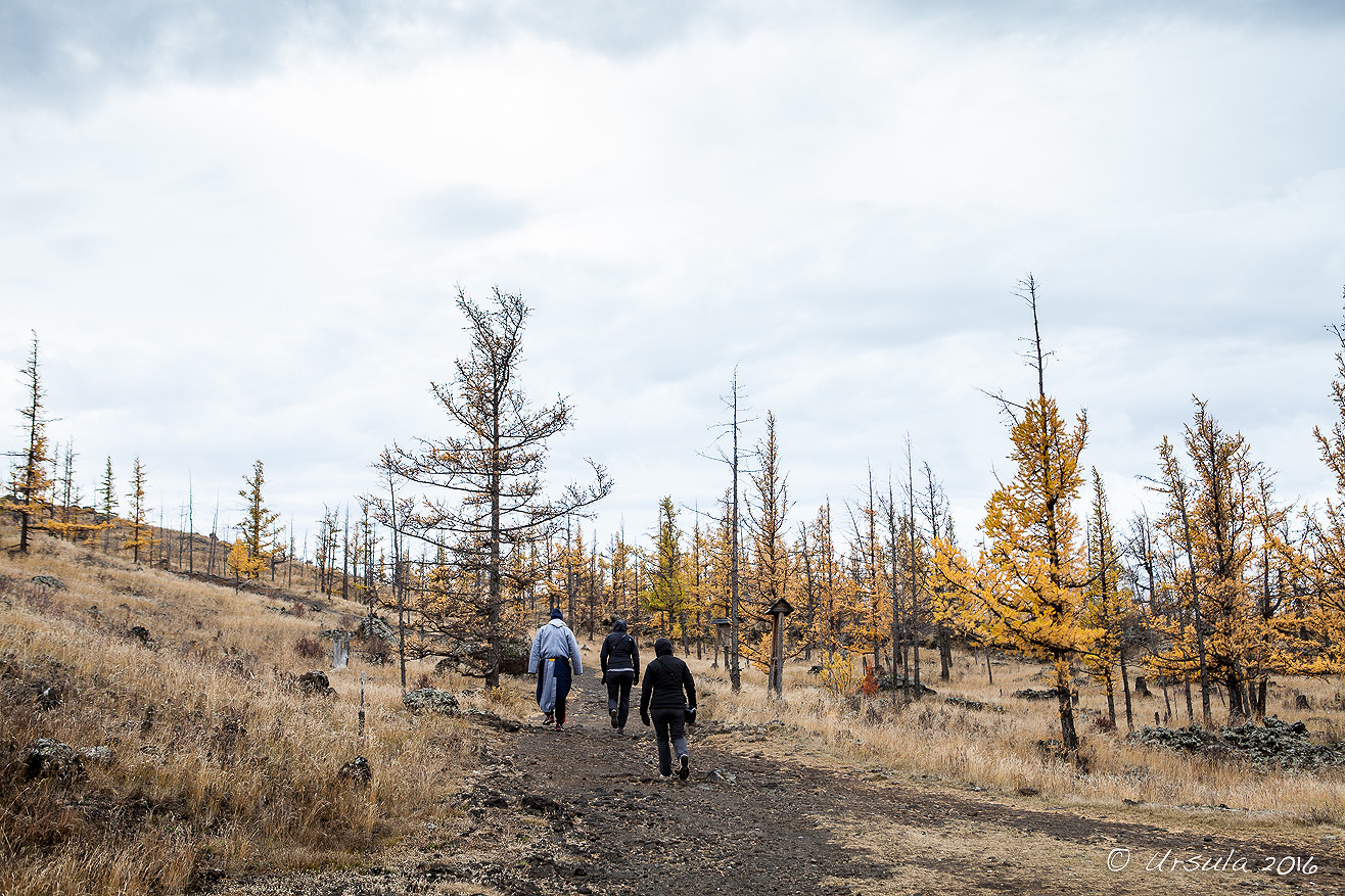 Terkhiin Tsagaan Nuur and Khorgo Volcano, Mongolia » Ursula's Weekly ...