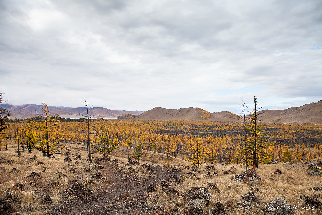 Terkhiin Tsagaan Nuur and Khorgo Volcano, Mongolia » Ursula's Weekly ...