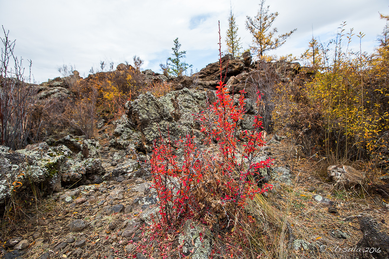 Terkhiin Tsagaan Nuur and Khorgo Volcano, Mongolia » Ursula's Weekly ...