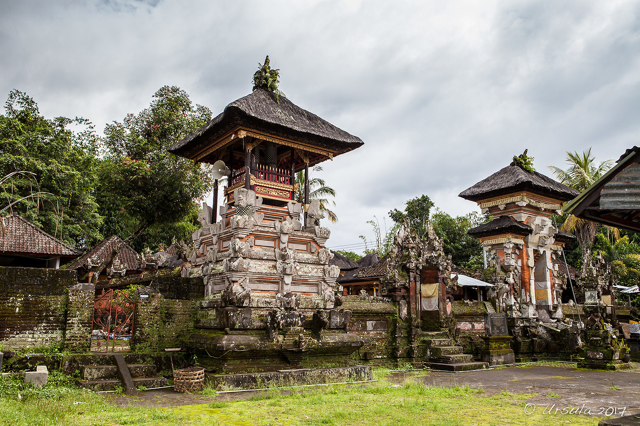 A Ride through Balinese Rice Fields, Bangli and Gianyar Regencies, Bali ...