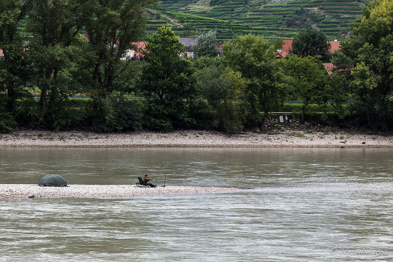 “Picturesque” Personified: The Wachau Valley, Austria » Ursula's Weekly ...