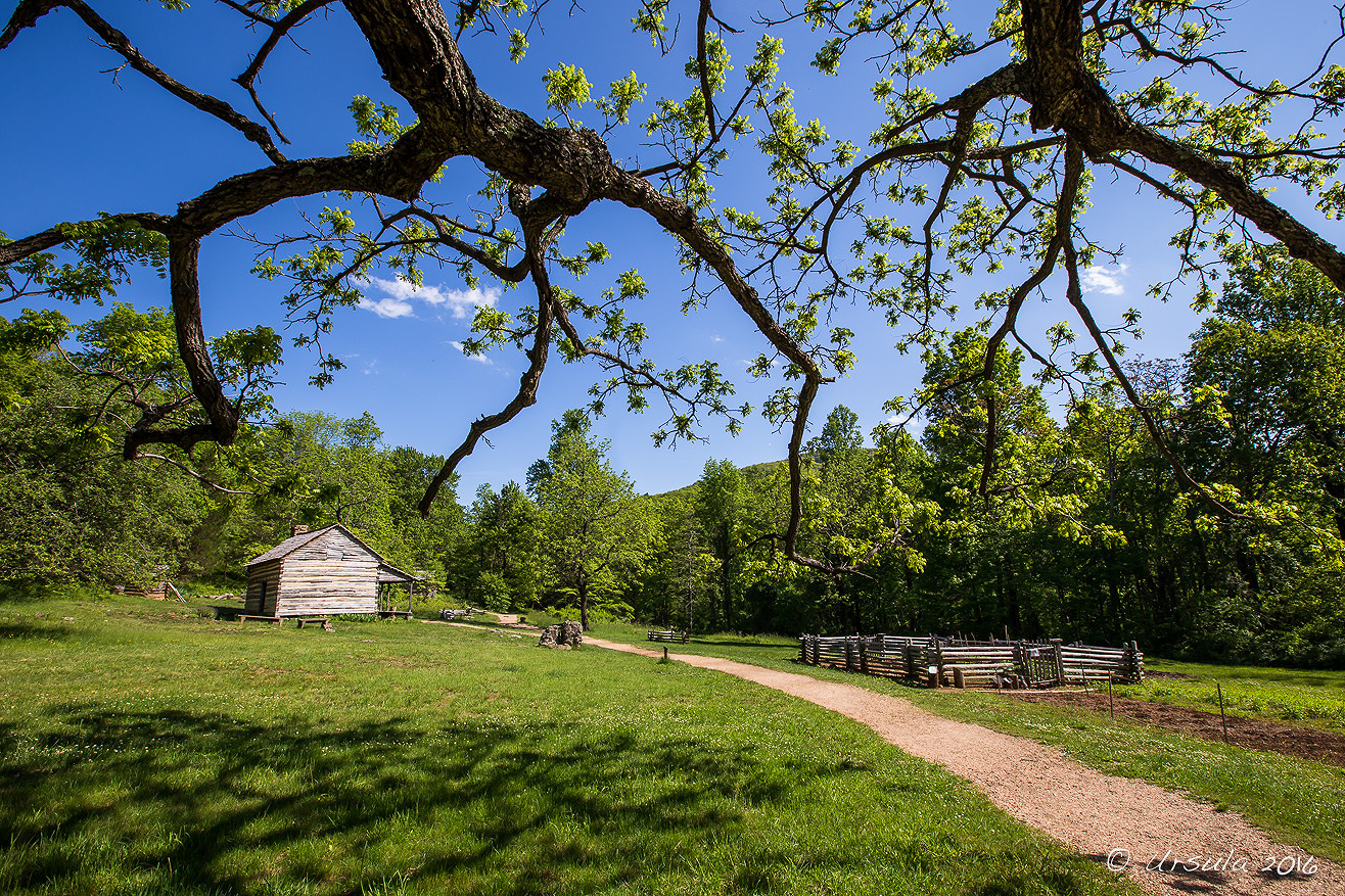 Driving the Blue Ridge Parkway, Part 1, Virginia USA » Ursula's Weekly ...