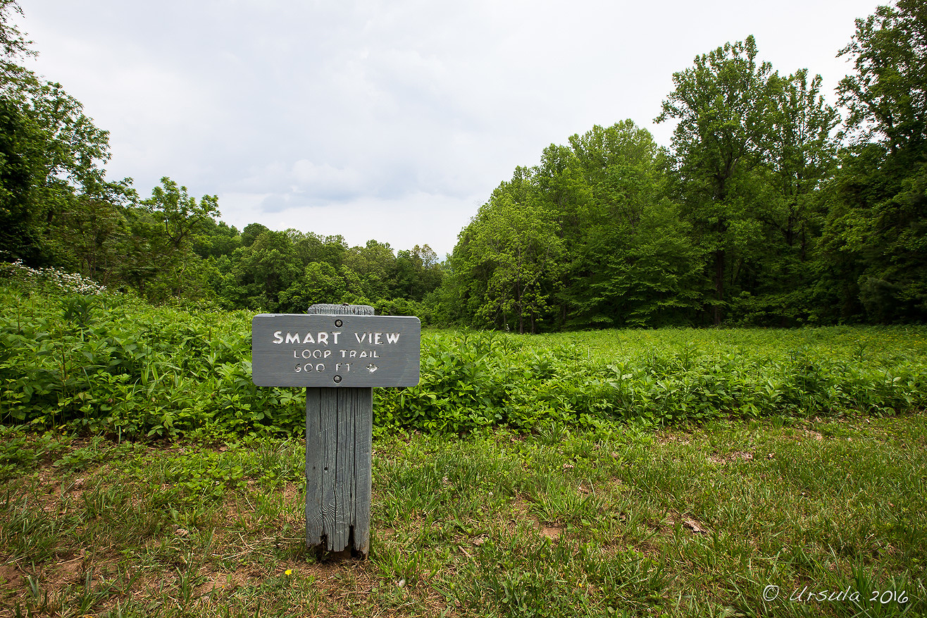 Driving the Blue Ridge Parkway, Part 1, Virginia USA » Ursula's Weekly ...