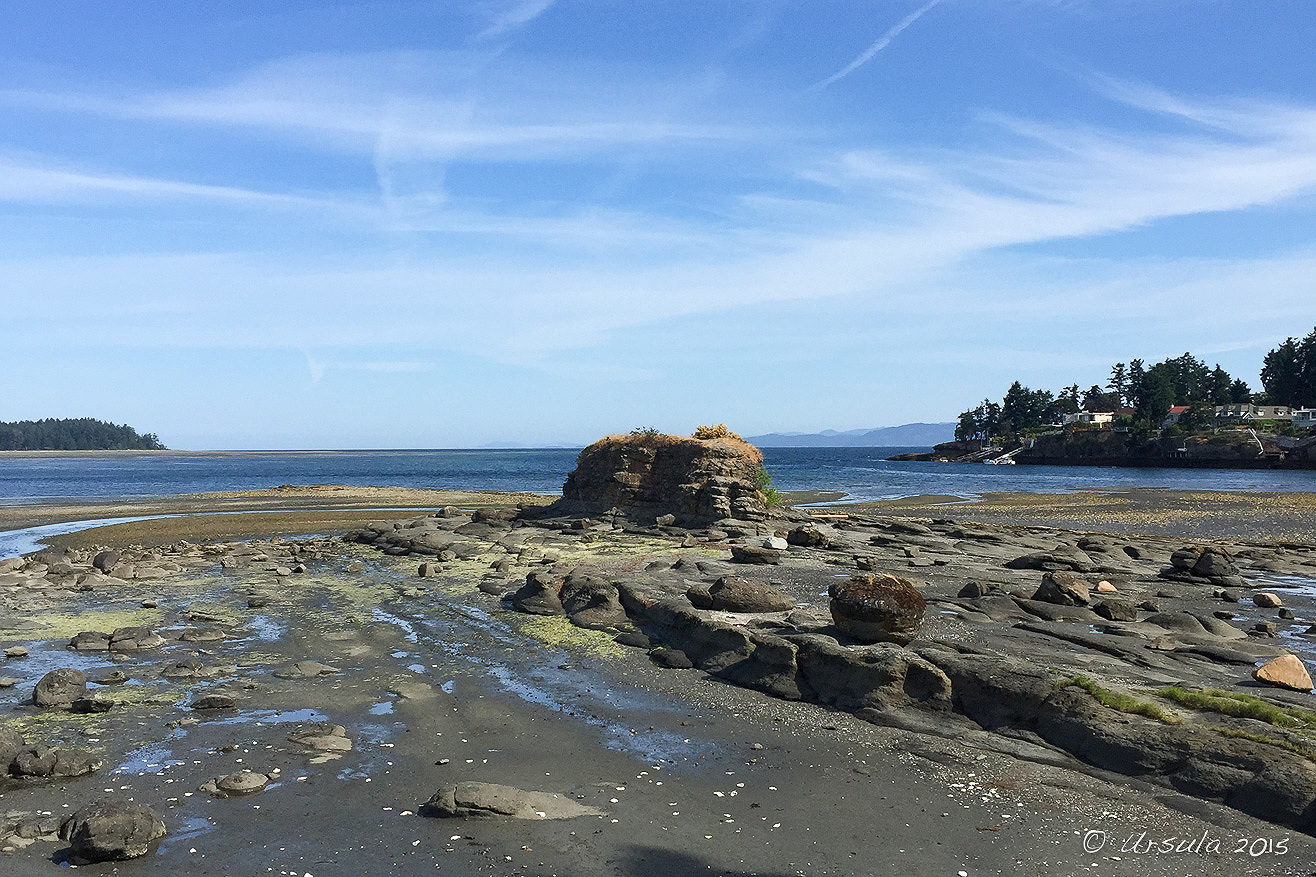 Tide Pools, Woods, and Waterfalls: Nanoose Bay BC Canada » Ursula's ...