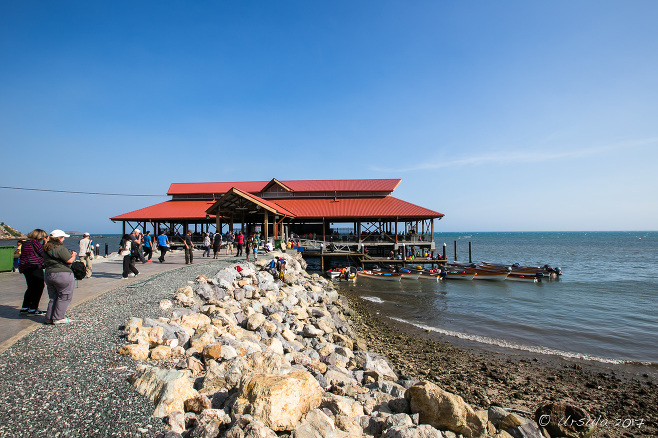 A Slice of Daily Life, Koki Fish Market, PNG » Ursula's Weekly Wanders