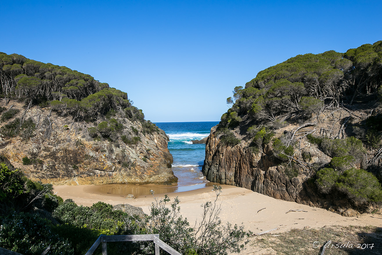 Walking the Kangarutha Track, Bournda National Park, AU » Ursula's ...