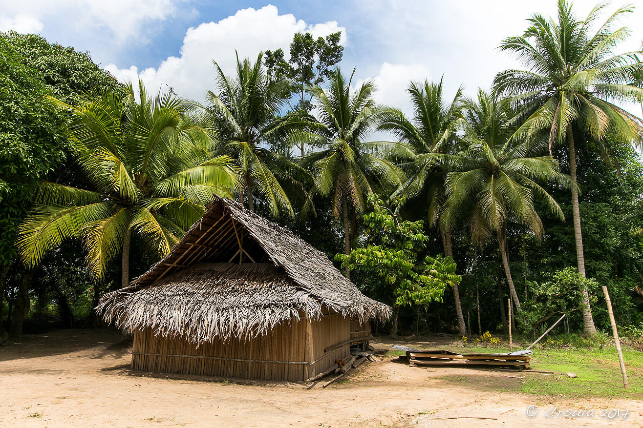 Market Portraits: Maprik, East Sepik, Papua New Guinea » Ursula's ...