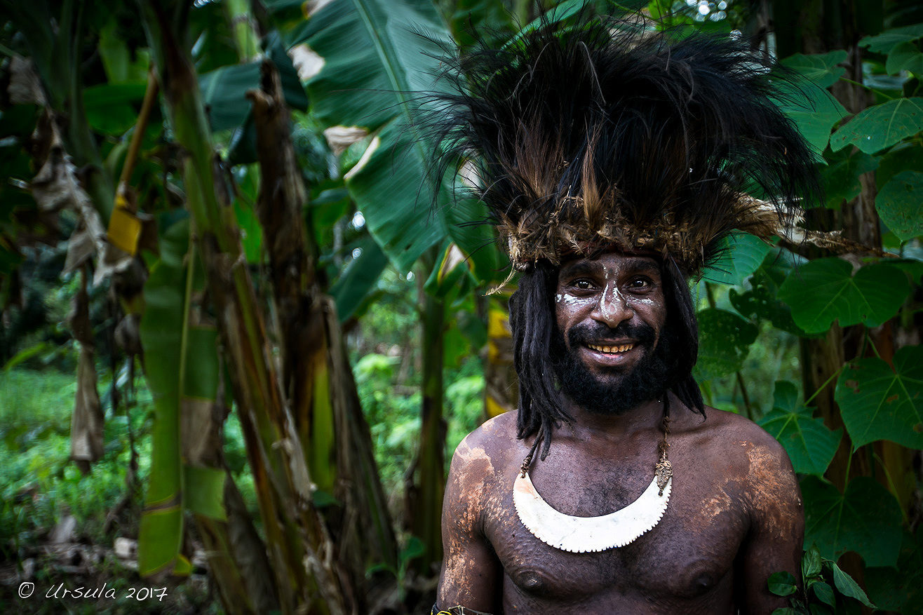 Crocodile Men and Animal Totems, Kanganaman Village, Middle Sepik ...