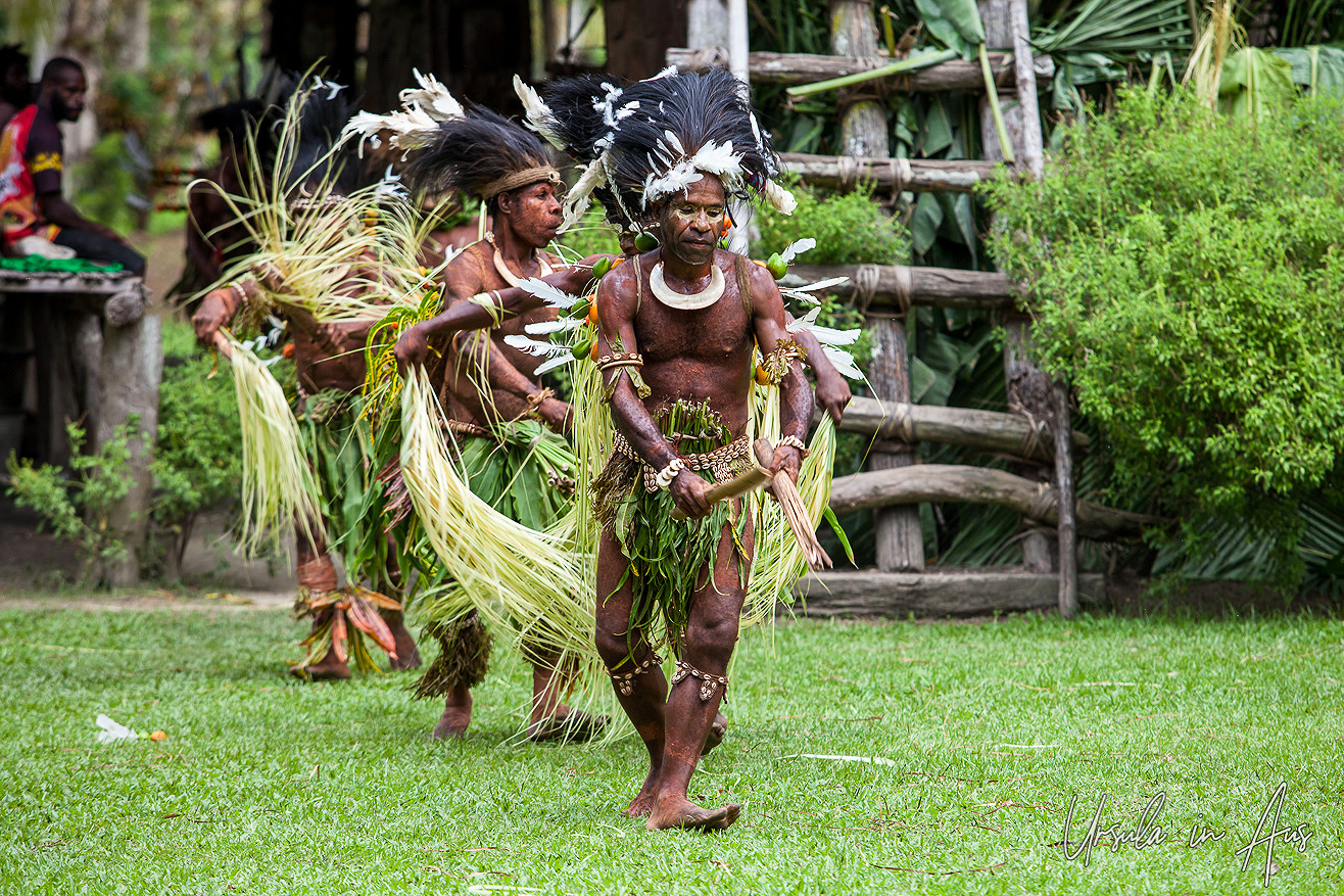 Preparations for the Dance: Middle Sepik Sing-Sing, Papua New Guinea ...