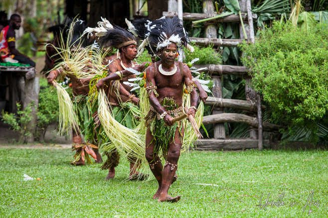 Preparations for the Dance: Middle Sepik Sing-Sing, Papua New Guinea ...