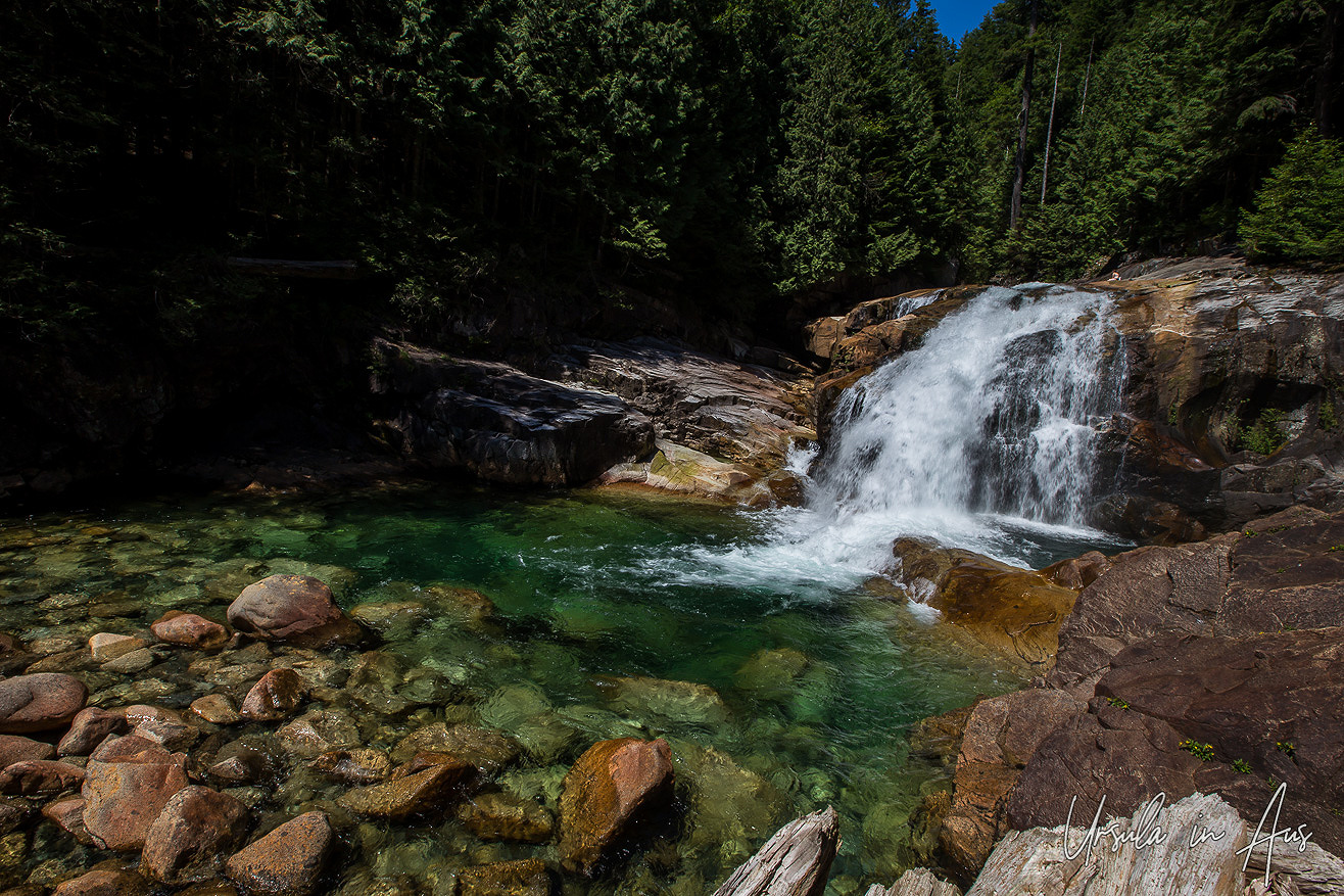 Woods and Waterfalls: Maple Ridge-Mission, BC Canada » Ursula's Weekly ...