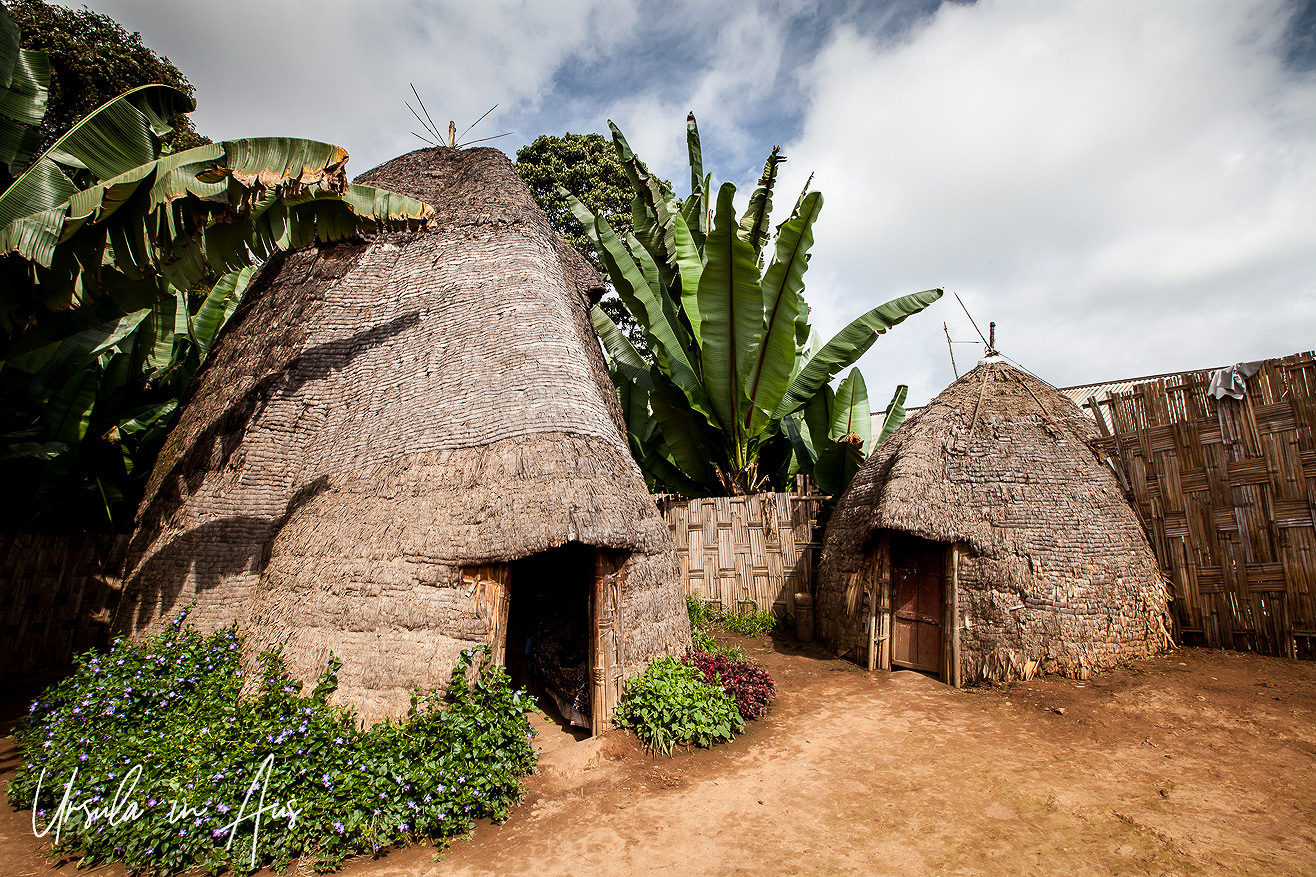 Roadside and Village Portraits : the Dorze People of Southern Ethiopia ...