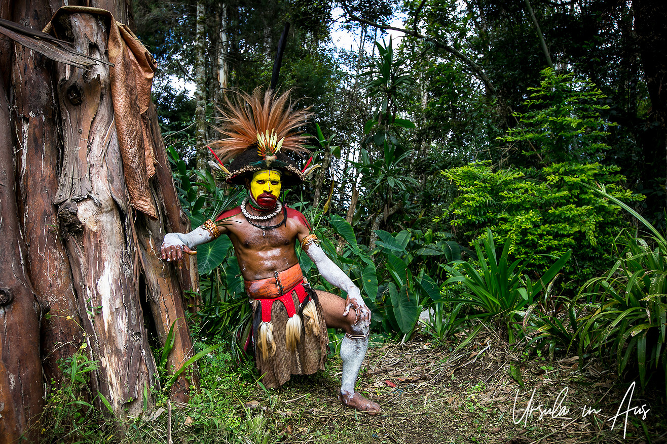 Meet the Huli Wig Men of Papua New Guinea – Paiya Village, Western ...