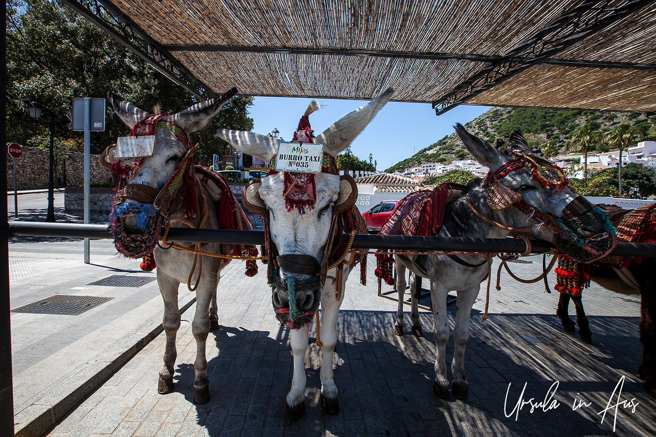 The White Village of Mijas Pueblo, Malaga Spain » Ursula's Weekly Wanders