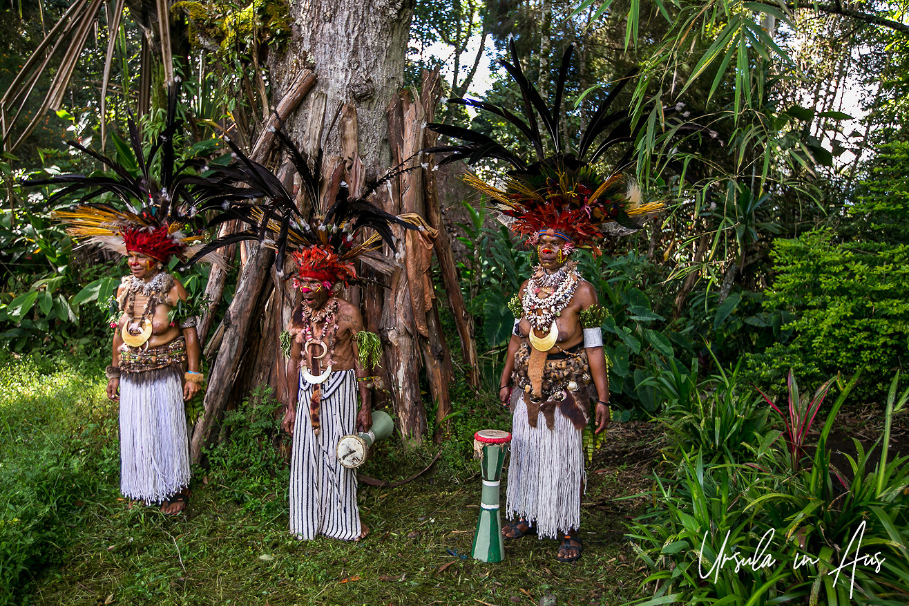 Feathers, Fur, and Face Paint: Jiwaka and Western Highlands, Papua New ...