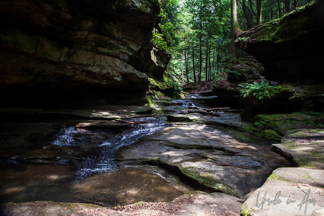 A Walk in Hocking Hills State Park, Ohio USA » Ursula's Weekly Wanders