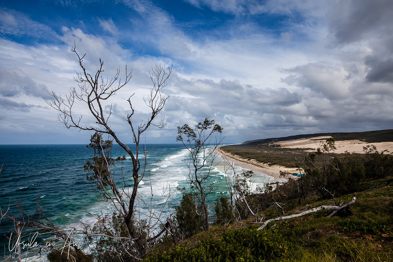 Living Sands and Rock: East Coast Fraser Island (#3) Queensland ...