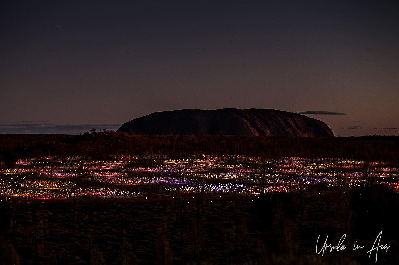 Timeless Uluru and the Field of Light, Yulara NT Australia » Ursula's ...