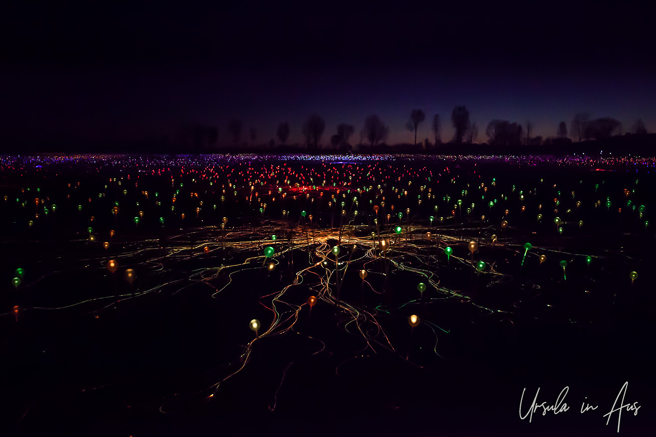 Timeless Uluru and the Field of Light, Yulara NT Australia » Ursula's ...