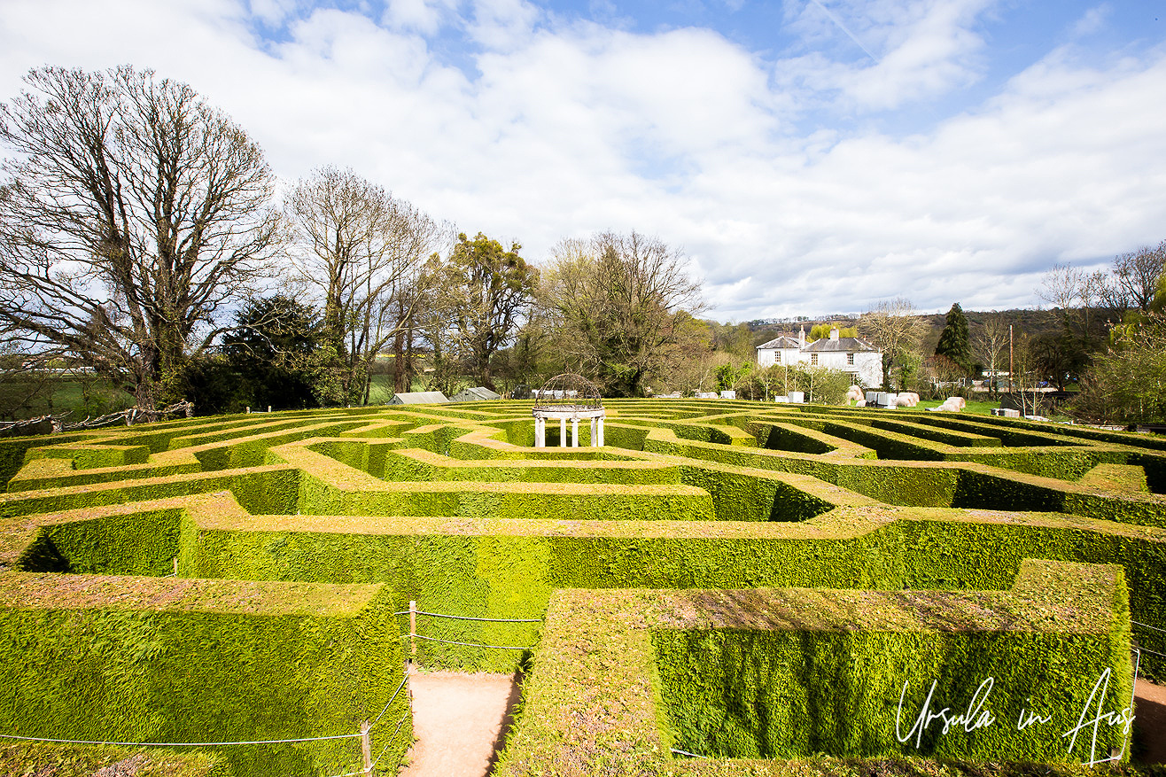 Babies and Butterflies, Symonds Yat West, Herefordshire, UK » Ursula's ...