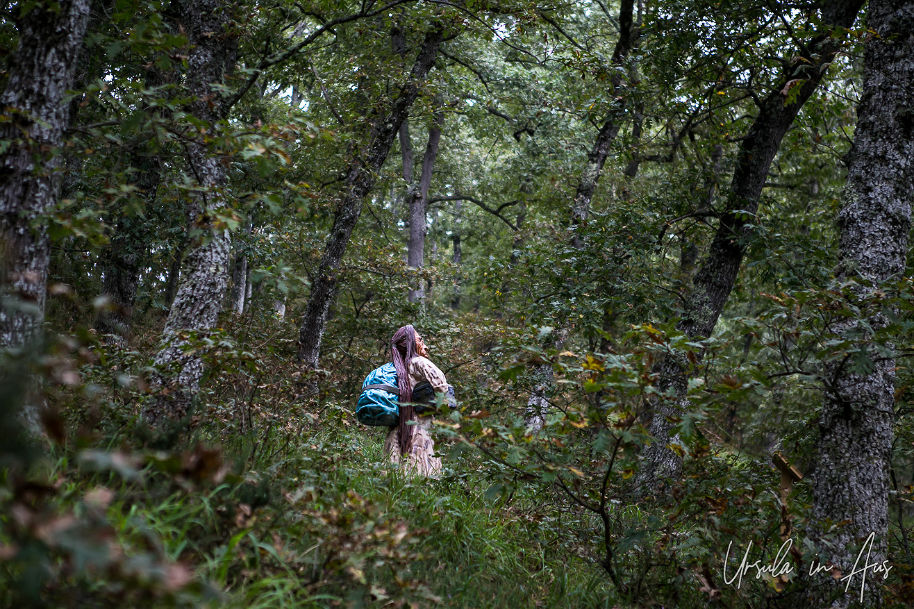 Woods, Prayers, and Mythological Creatures : Cicera, Cantabria, Spain ...