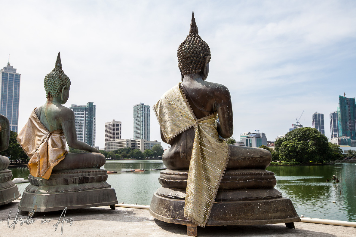 The Many Buddhas of Colombo, Sri Lanka » Ursula's Weekly Wanders