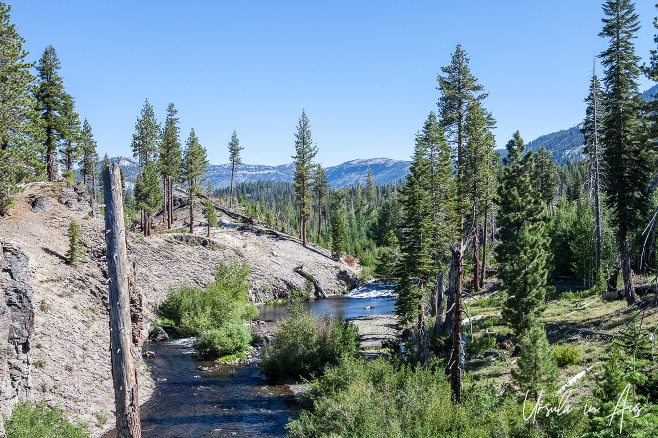 Ursula's Weekly Wanders