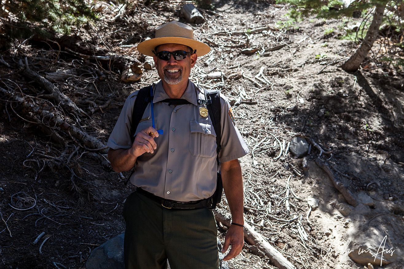 Ursula's Weekly Wanders