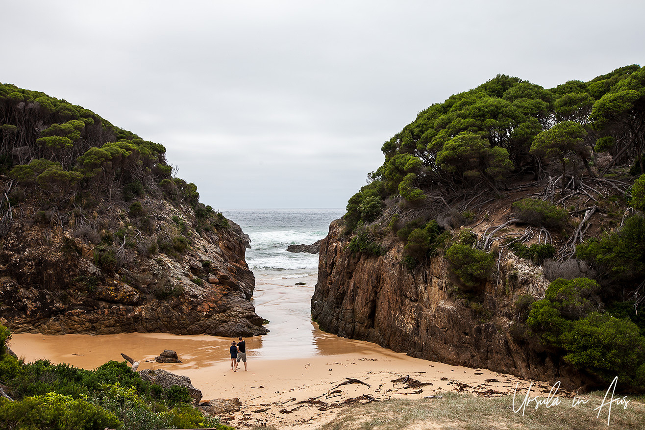 Walking the Sapphire Coast: Bournda National Park, NSW Australia ...