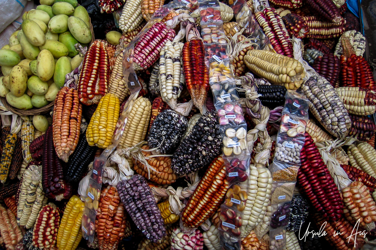 Altitude, Camelids, and the Sacred Valley of the Inca: the Peruvian ...