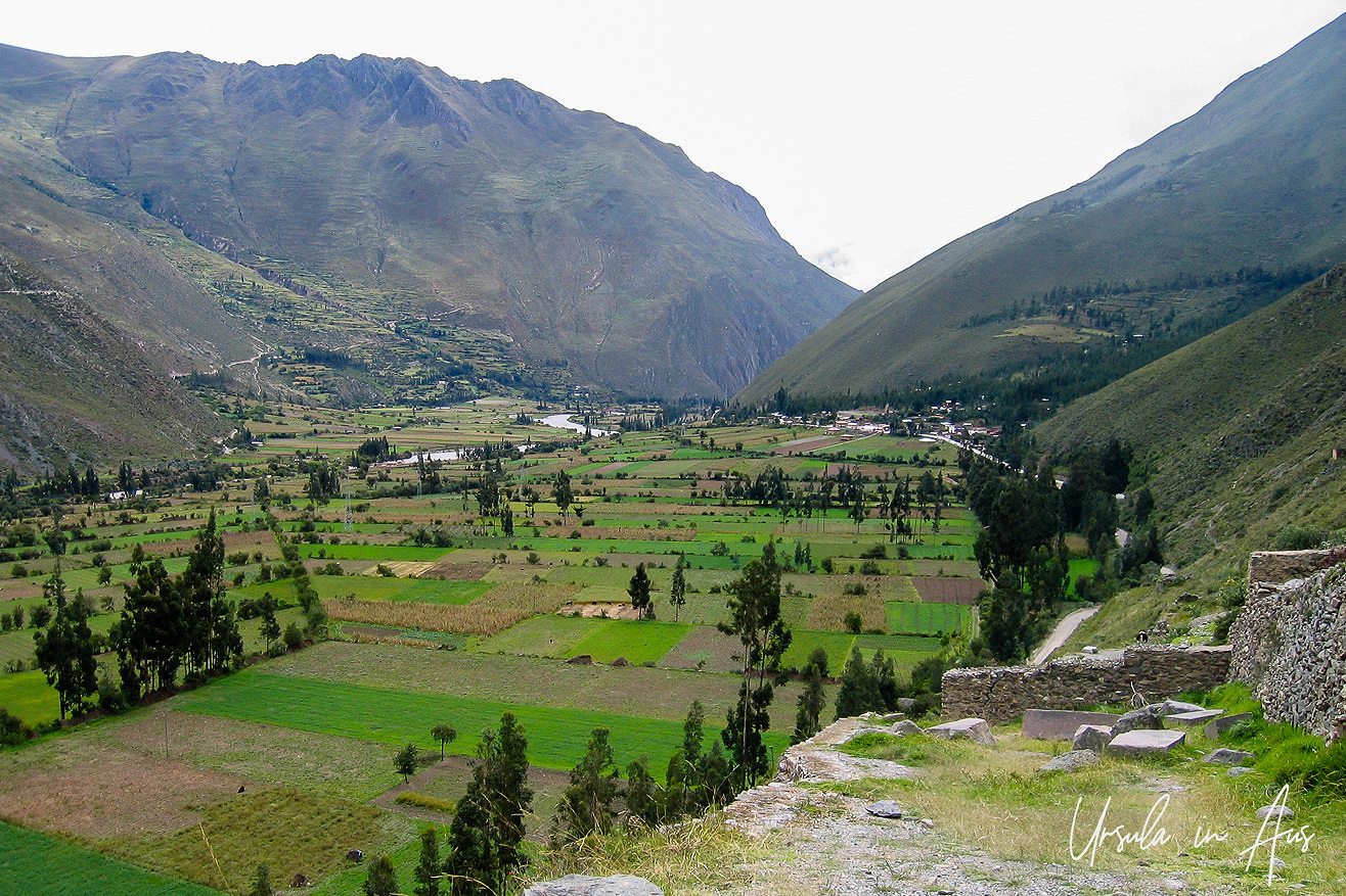 Altitude, Camelids, and the Sacred Valley of the Inca: the Peruvian ...