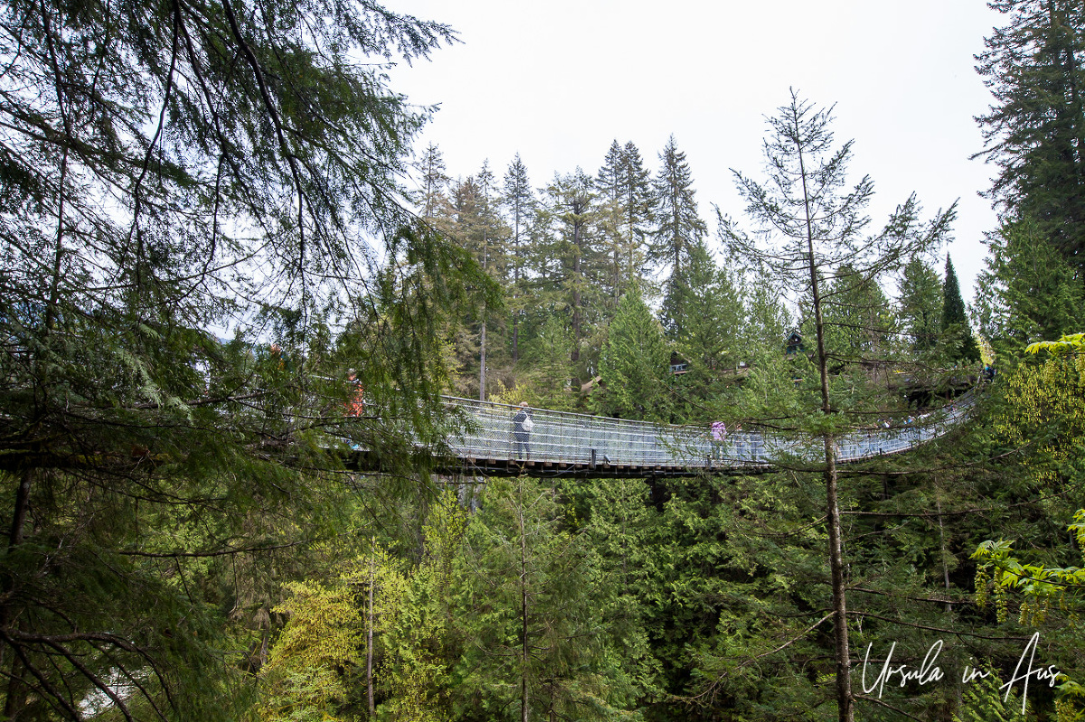 Back in the Land of Tall Trees: Capilano Suspension Bridge Park, BC ...