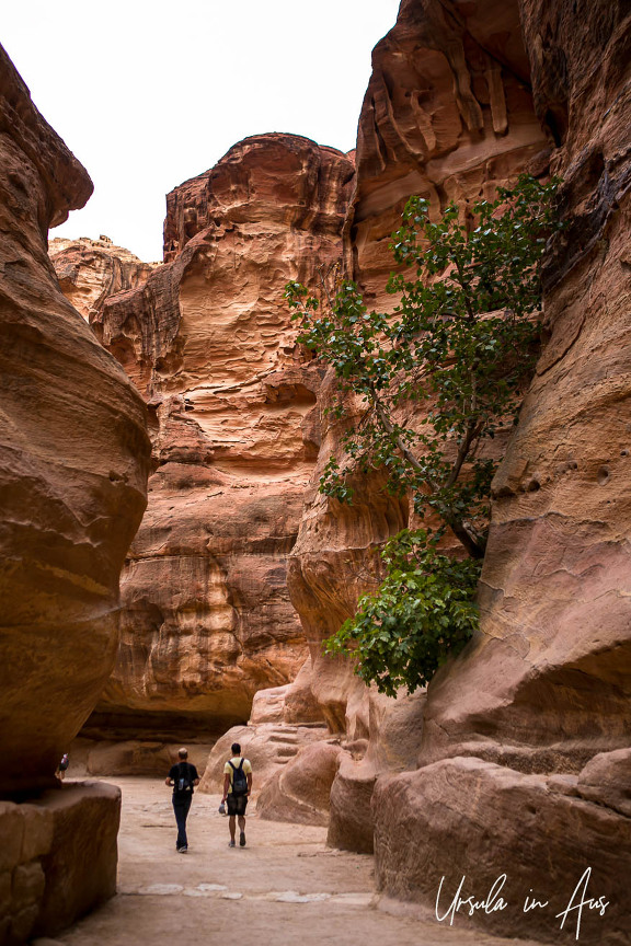 Patterns in the Siq, the Theatre, and the Church, Petra (2), Jordan ...