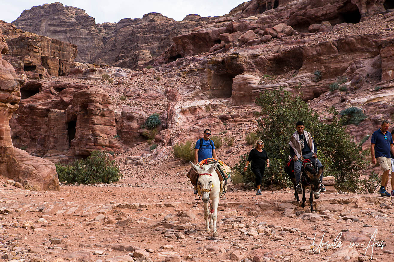 Ad Deir and the Magnificent Monastery Trail, Petra (#3) Jordan » Ursula ...