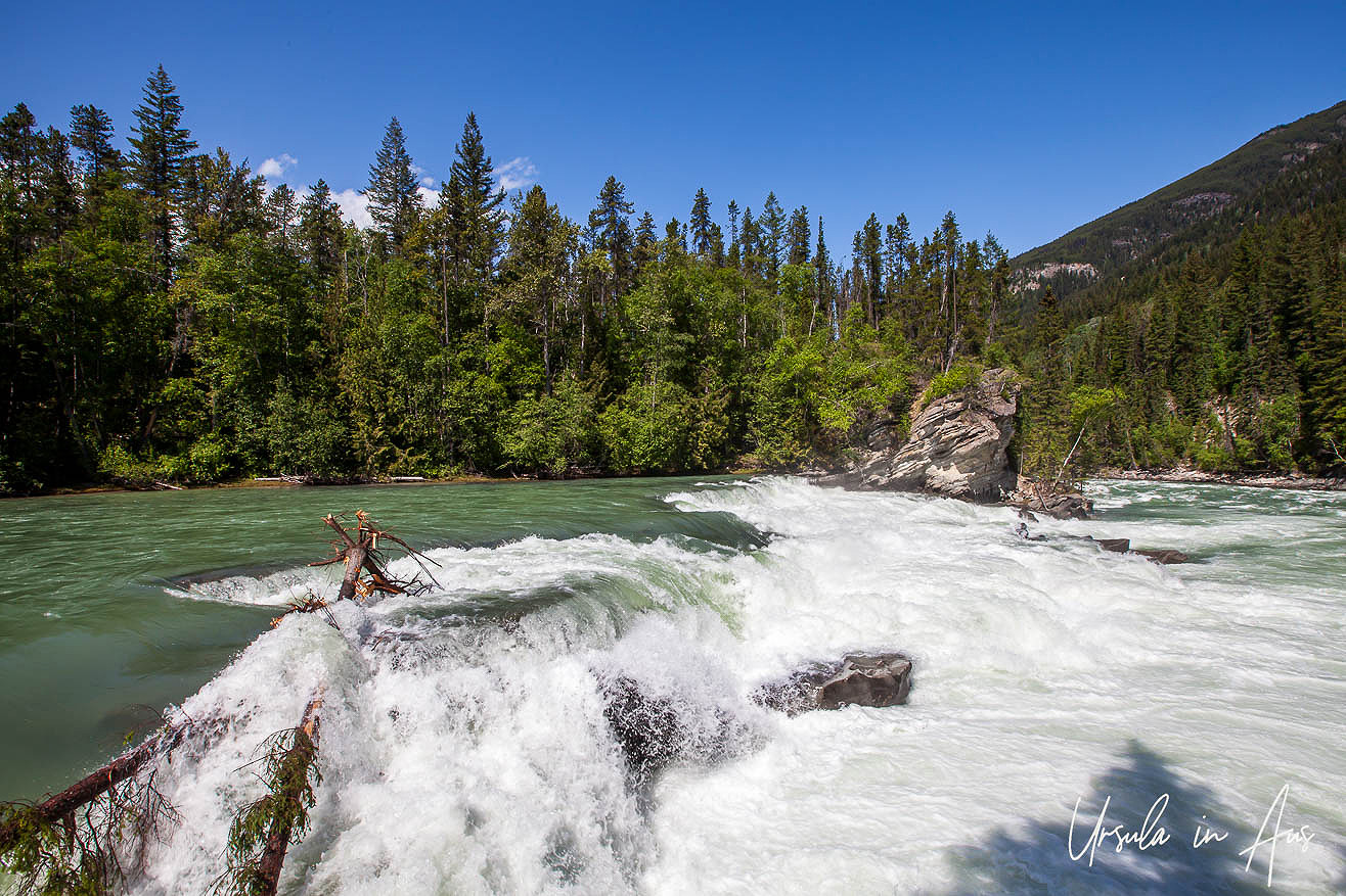 Long Roads and Short Walks (#1) : Rearguard Falls, BC Canada » Ursula's ...