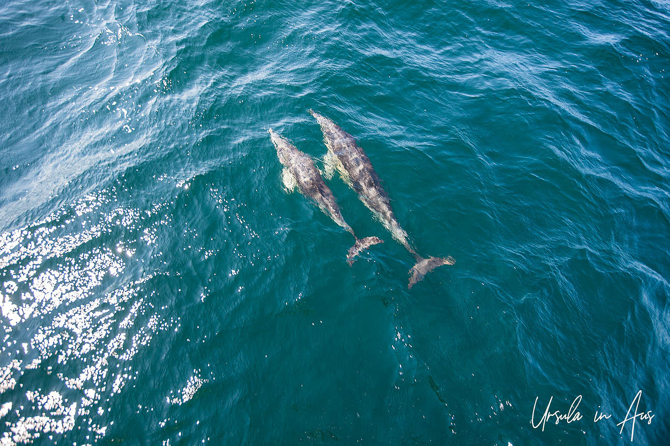 Ursula's Weekly Wanders » Travel PhotoBlog