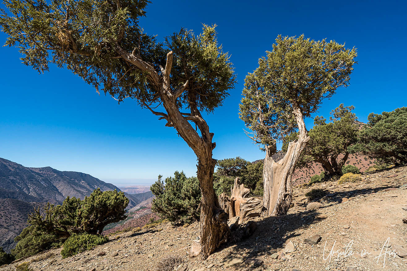 Ursula's Weekly Wanders » Travel PhotoBlog