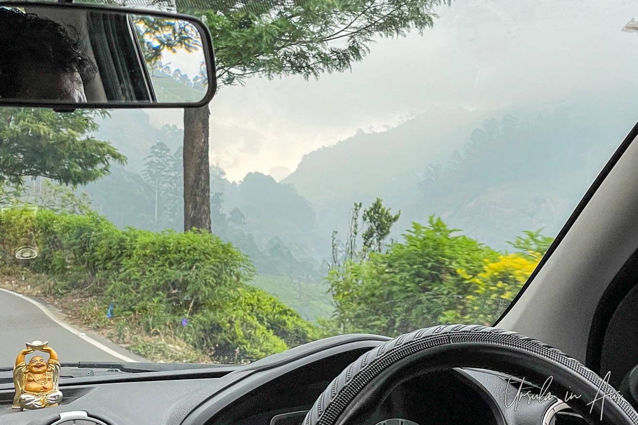 In the Green Tea Plantations of Munnar, Kerala, India » Ursula's Weekly ...
