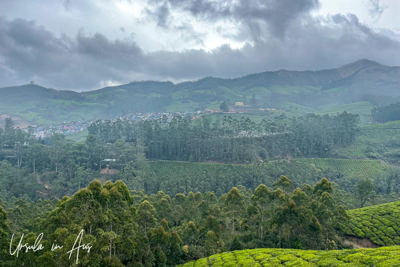 In the Green Tea Plantations of Munnar, Kerala, India » Ursula's Weekly ...